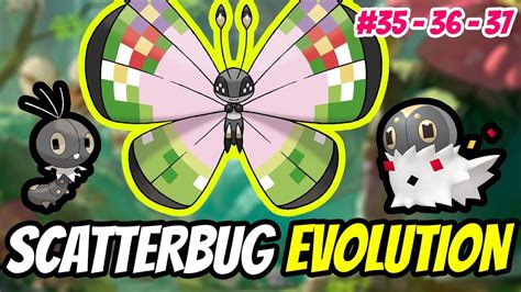 Scatterbug Evolution