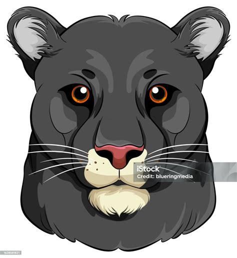 Cartoon Black Panther Head Stock Illustration Download Image Now
