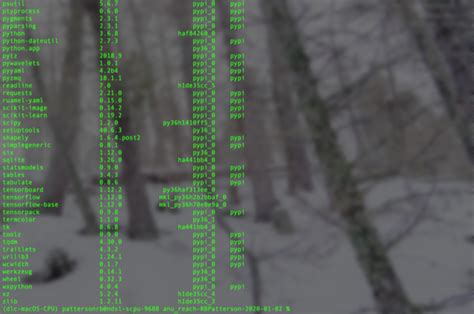 Extractoutlierframes Throws Unboundlocalerror · Issue 559