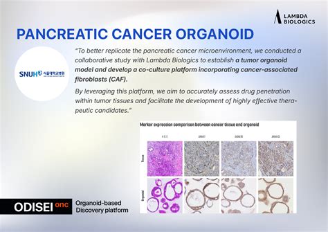 Lambda Biologics Leipzig