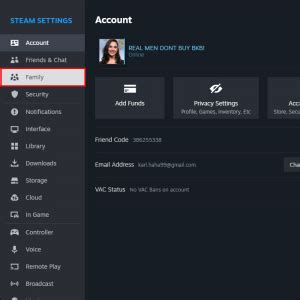 How To Hide Activity In Steam How To Hide Activity In Steam