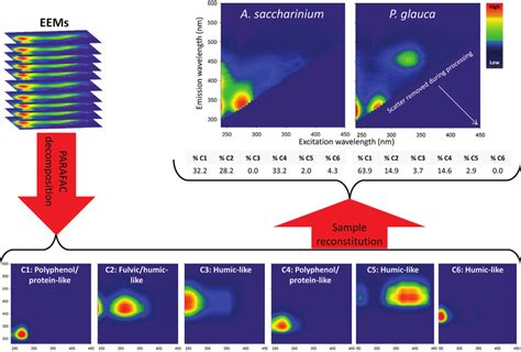 Example Of Parallel Factor Analysis Parafac Decomposition Of Leaf