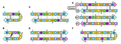 The Possible Secondary Structures Of Monomeric And Dimeric Download Scientific Diagram