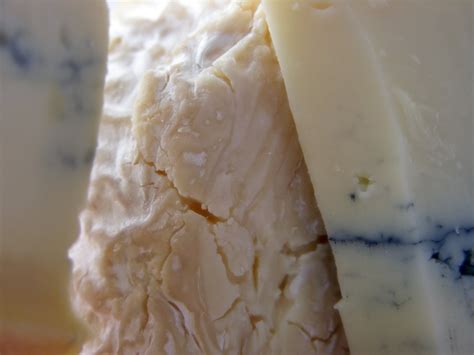 A Macro Portrait Of A Cheese Free Photo Download Freeimages