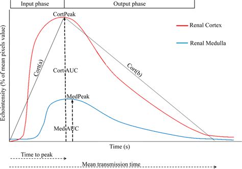 Illustration Of The Function That Represents The Time Intensity Curve Download Scientific