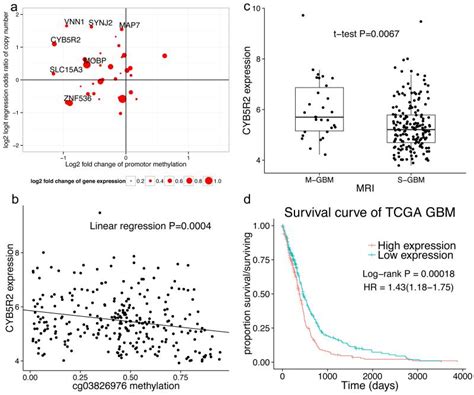 Genetic Epigenetic And Molecular Landscapes Of Multifocal And
