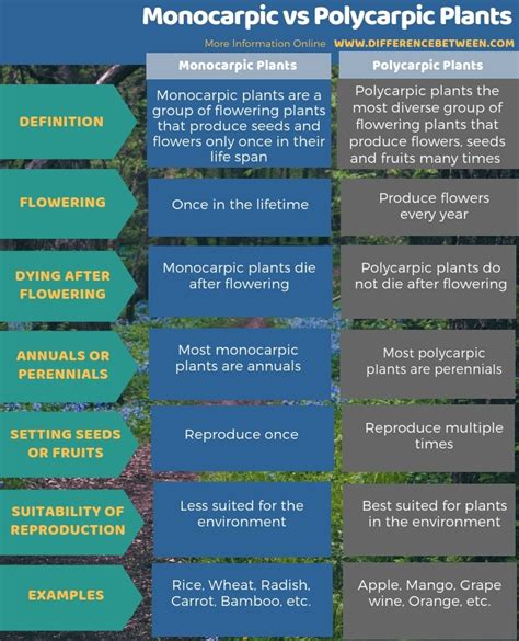 Difference Between Monocarpic And Polycarpic Plants Compare The