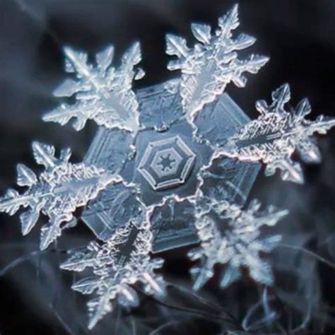 როგორ გამოიყურებიან თოვლის ფიფქები მაკროგადაღებებისას გურიის მოამბე