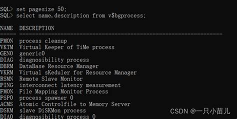 Oracle数据库后台进程详解 Csdn博客