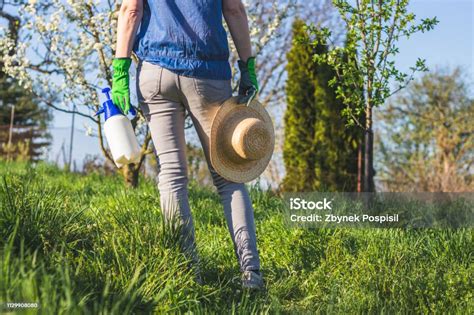 뜰을 만드는 장갑 입고 여자 농부 스프레이 병 및 밀 짚 모자를 들고 있다 고 그녀는 개화 과수원 서 개화기에 대한 스톡 사진