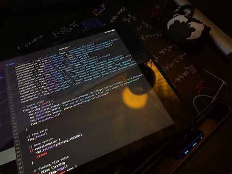 Go Flag Custom Usage Hahwul