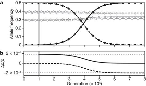 Sex Determination Hijacked By An Autosomal Sex Determining Factor A Download Scientific