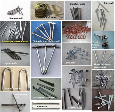 Zinc Coated Nails Manufacturers And Suppliers Five Star