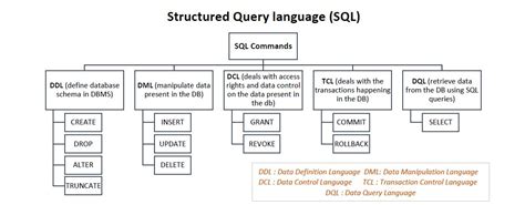 Ahmed Magdi On Linkedin Dataanalysis Sql Sqlserver Dataanalyst