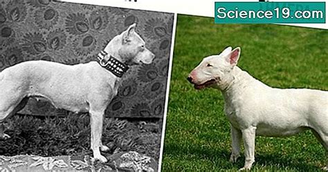 Πώς να κάνετε ένα Επίπεδο Συντονισμού στο Ms Excel 💫 Επιστημονική Και