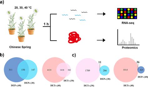 Experimental Design And Quantification Of The Transcriptome And