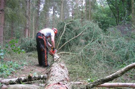 Snedding Kingswood Training