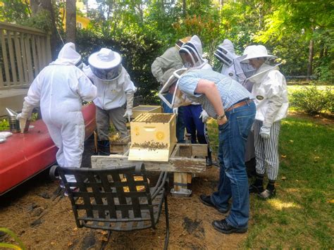 Beekeeper Collaborative Orange County Beekeepers Association