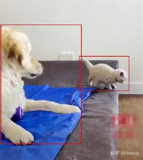 从数据到视觉AI从产业变革再到中美博弈 知乎