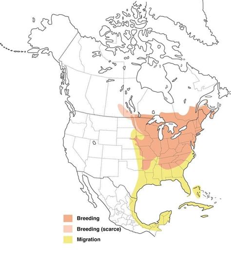 Scarlet Tanager Range Map All About Birds