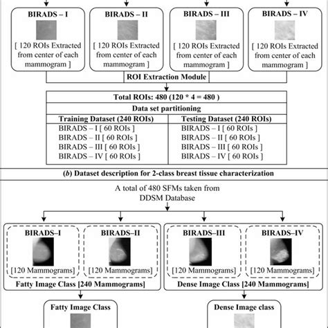 Sample Image Of Different Birads Breast Tissue Density Classes Download Scientific Diagram