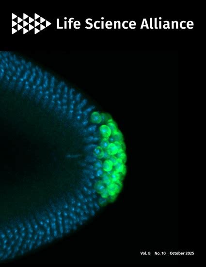 Multi‐omics Factor Analysis—a Framework For Unsupervised Integration Of Multi‐omics Data Sets
