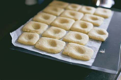 Fossil Cookies A Beautiful Mess