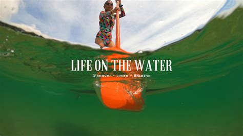 Peak Physique Program To Separate Yourself From Your Competitors You