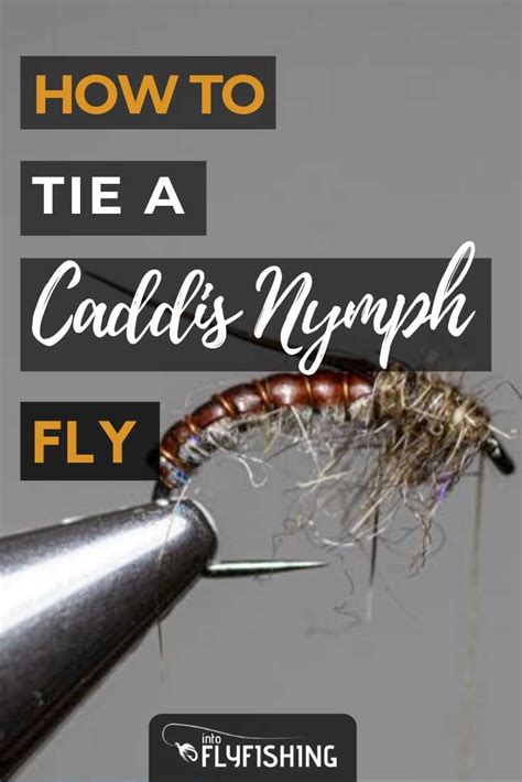 Caddis Nymph Fly Patterns At Renetta Wallace Blog