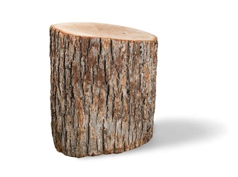 Log Foto Premium