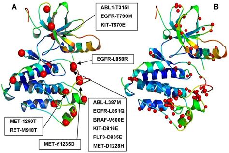 The Spatial Distribution Of Highly Oncogenic Mutations And Highly Download Scientific Diagram