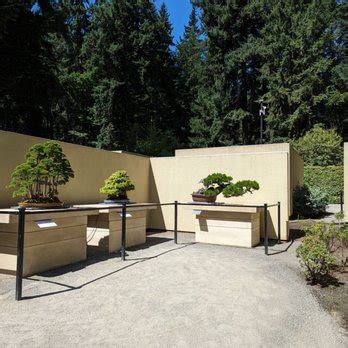 Pacific Bonsai Museum Updated August 2025 455 Photos And 71 Reviews