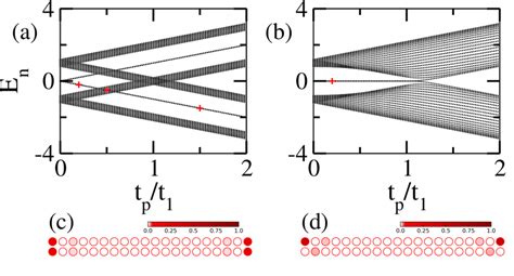 The Single Particle Energy Spectrum Of A System Of 40 Sites L 20
