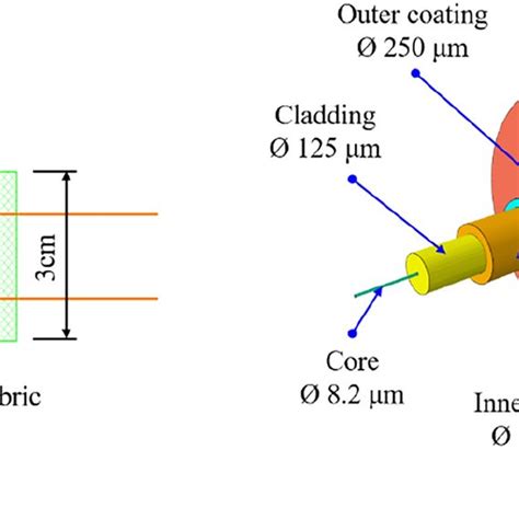 A 900 μm Diameter Tight Buffer Fiber With Glass Fiber Fabric B Download Scientific Diagram