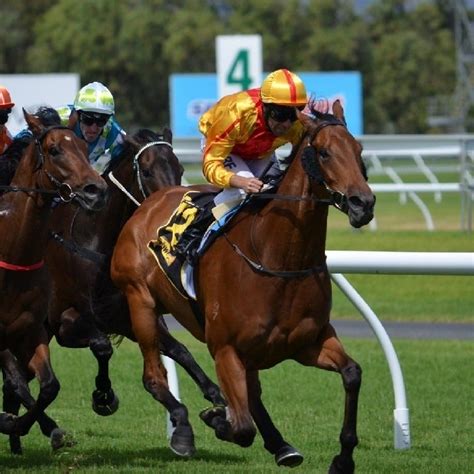 地方競馬勝負レース！せきれい賞！過去レースデータ分析で推奨する馬で勝負！ キングクリの競馬を単勝と複勝で勝つためのブログ