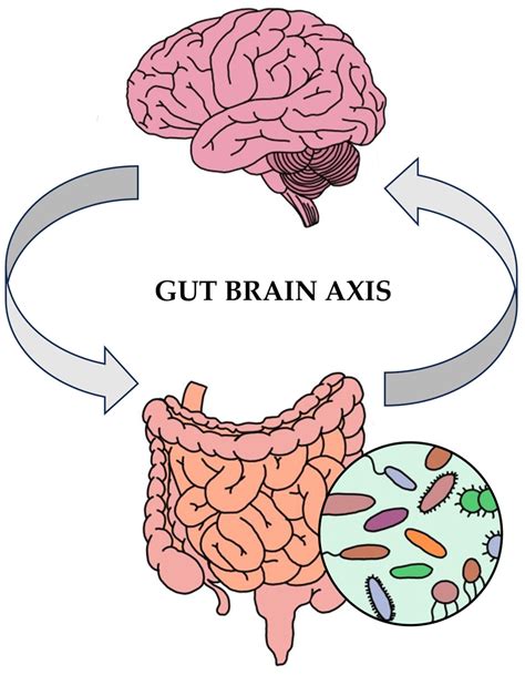 The Gutbrain Axis In Schizophrenia The Implications Of The Gut