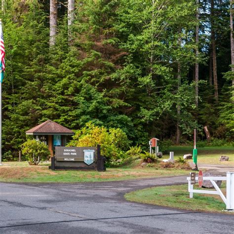 Bogachiel State Park All You Should Know Before You Go 2026 W