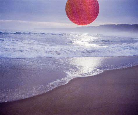 Rebecca Najdowski Expérimentations Et Désastre écologique