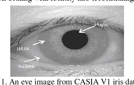 Figure From Steps Of Human Iris Detection For Biometric Application Semantic Scholar