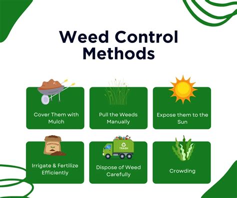 10 Excellent Methods For Weed Control In Your Lawn
