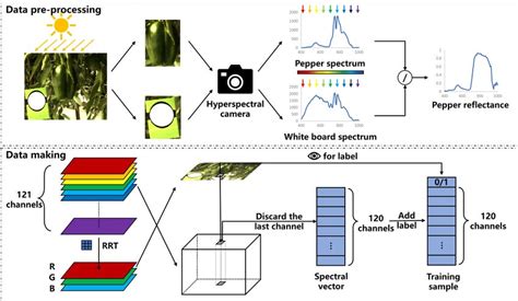 data pre processing and making process different color arrows on the