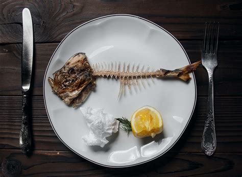 Vomer Funny Fish On Behance