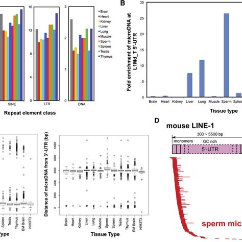 Microdnas In Mouse Sperm Are Enriched From Line 1 Elements A Download Scientific Diagram