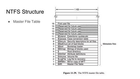 Linux And Windows File System Pptx Operating Systems Computer