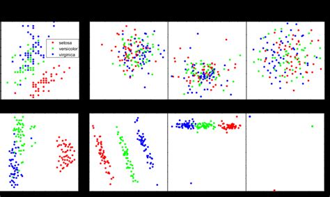 Iris Data Set 62 56 With Additional 1000 Gaussian Noise Variables