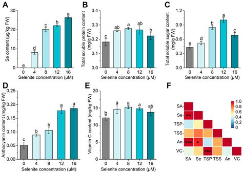 Agronomy Free Full Text Effect Of Selenium Application On Growth Antioxidative Capacity