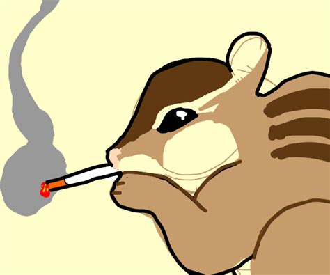 Awesome Chipmunk Drawception