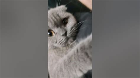 красіва Youtube