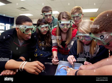 Dissect Hi Res Stock Photography And Images Alamy