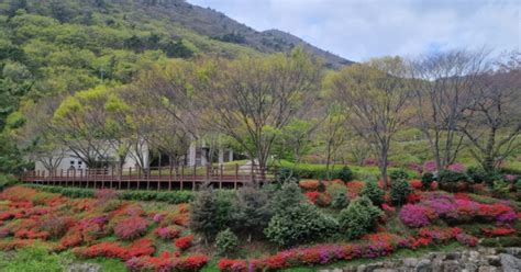 해남군 신록의 봄에는 흑석산 자연휴양림에서 힐링하자 해남군 신록의 봄에는 흑석산 자연휴양림에서 힐링하자